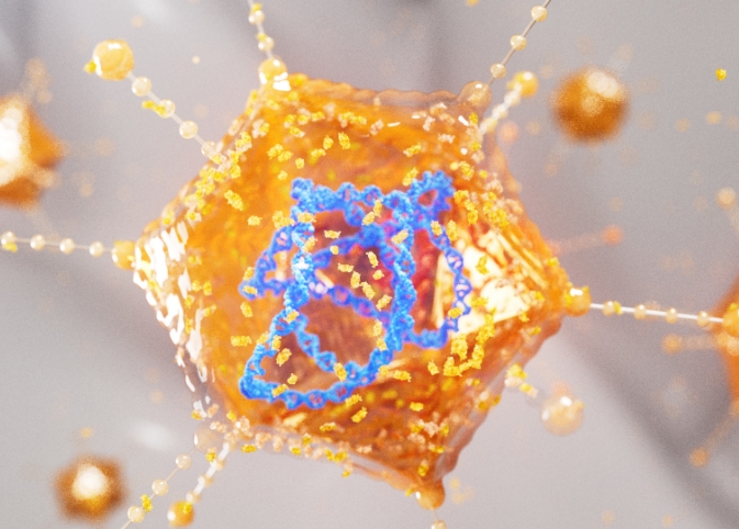 What Is ADSTILADRIN? | ADSTILADRIN® (nadofaragene firadenovec-vncg)